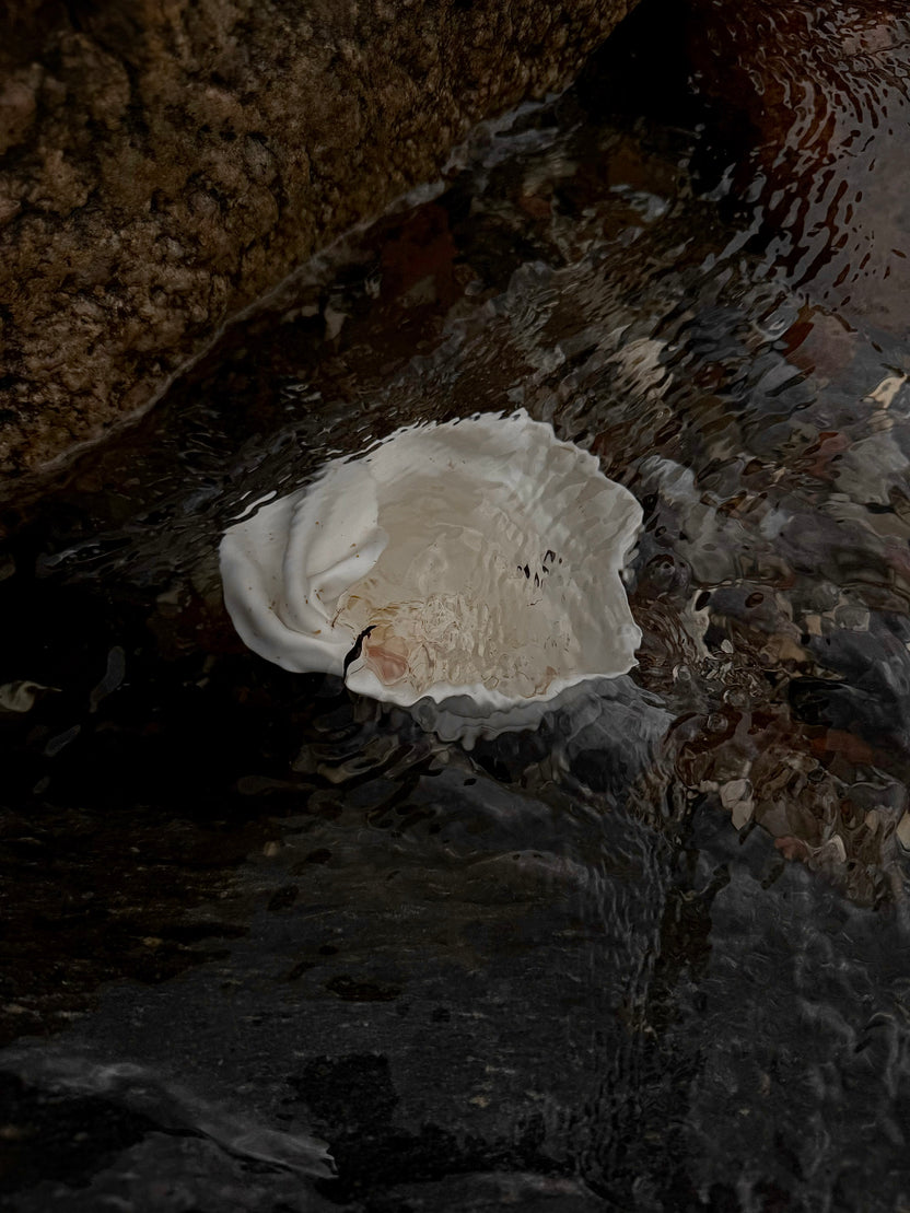 Kopper – Studio Aarhus